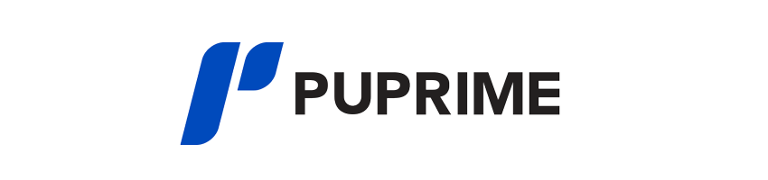 Puprime opiniones en Argentina: ¿Es un broker confiable? – Reseña 2024 ...